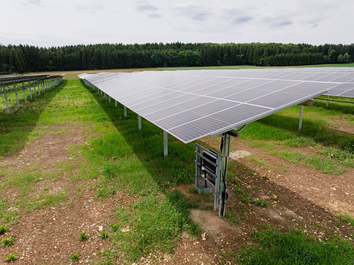IBC SOLAR connects first Agri-PV park with solar trackers to the grid ...